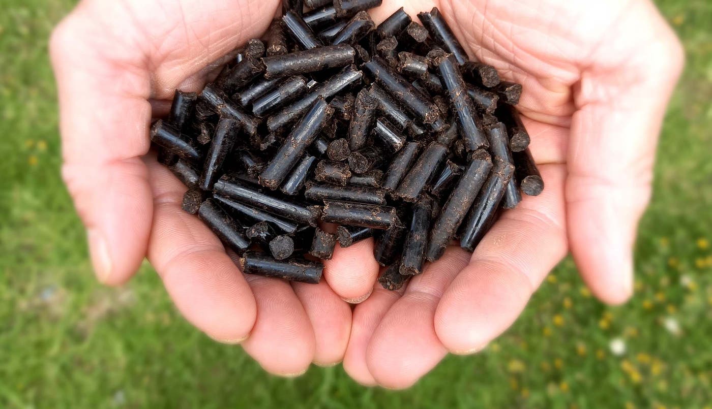 Genesis’ biomass trial successful | Genesis NZ