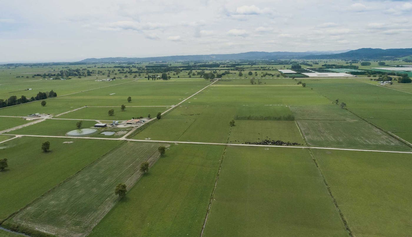 Edgecumbe solar site