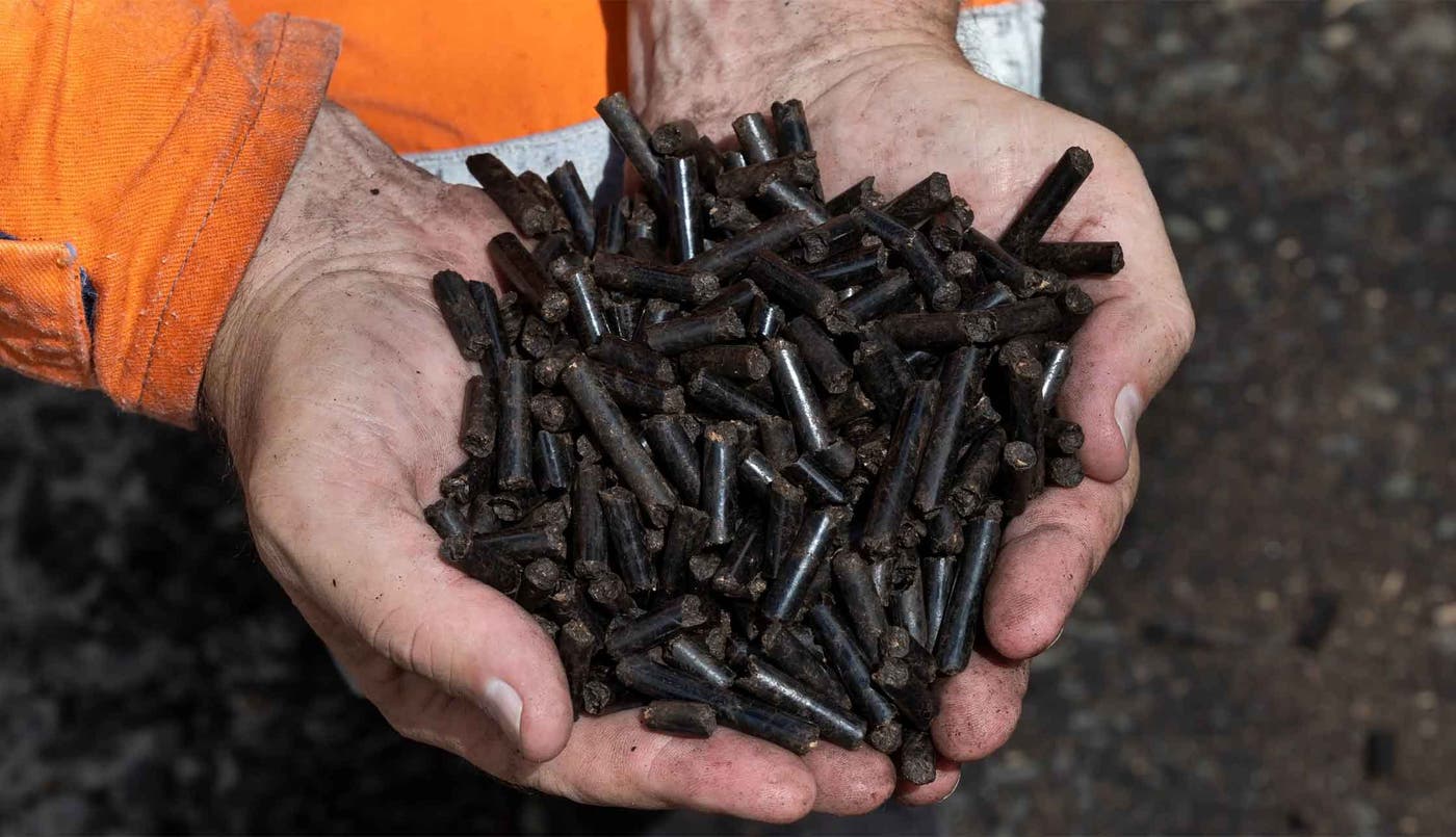 hands holding biomass pellets