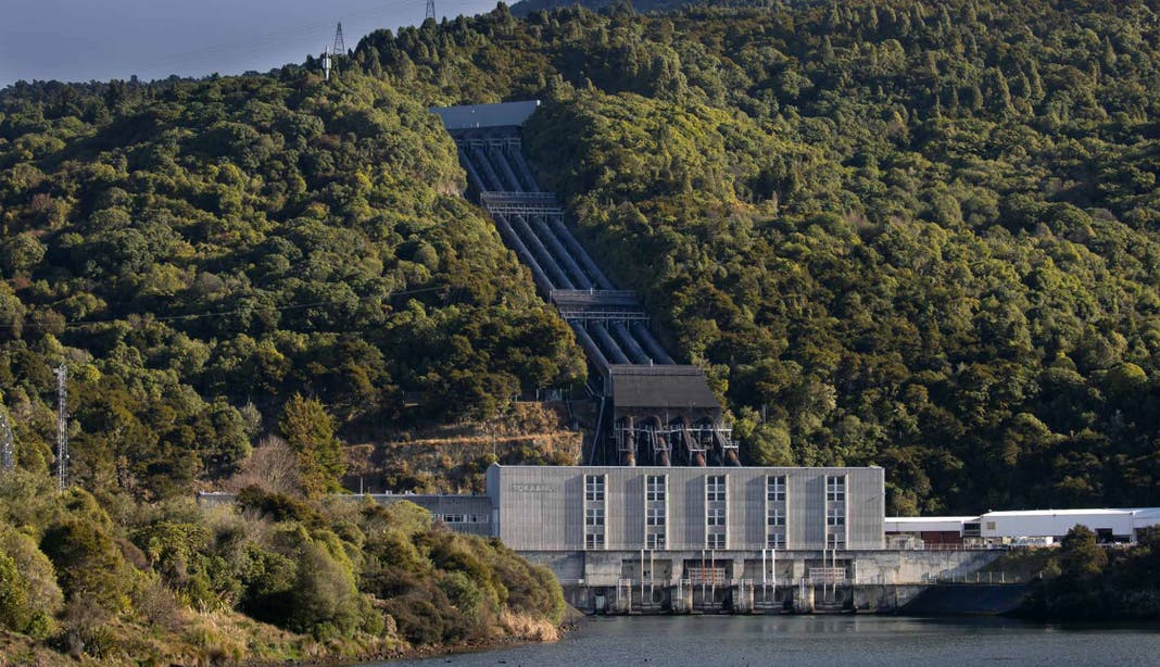 Genesis’ biomass trial successful | Genesis NZ