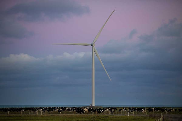 Energy investor centre | Genesis NZ