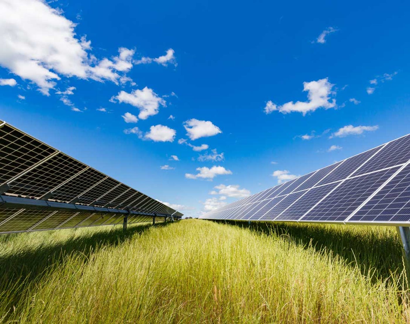 solar farm