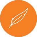 Whio camouflage icon