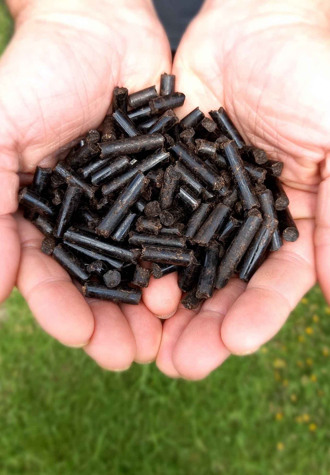 Future of Huntly | Genesis NZ