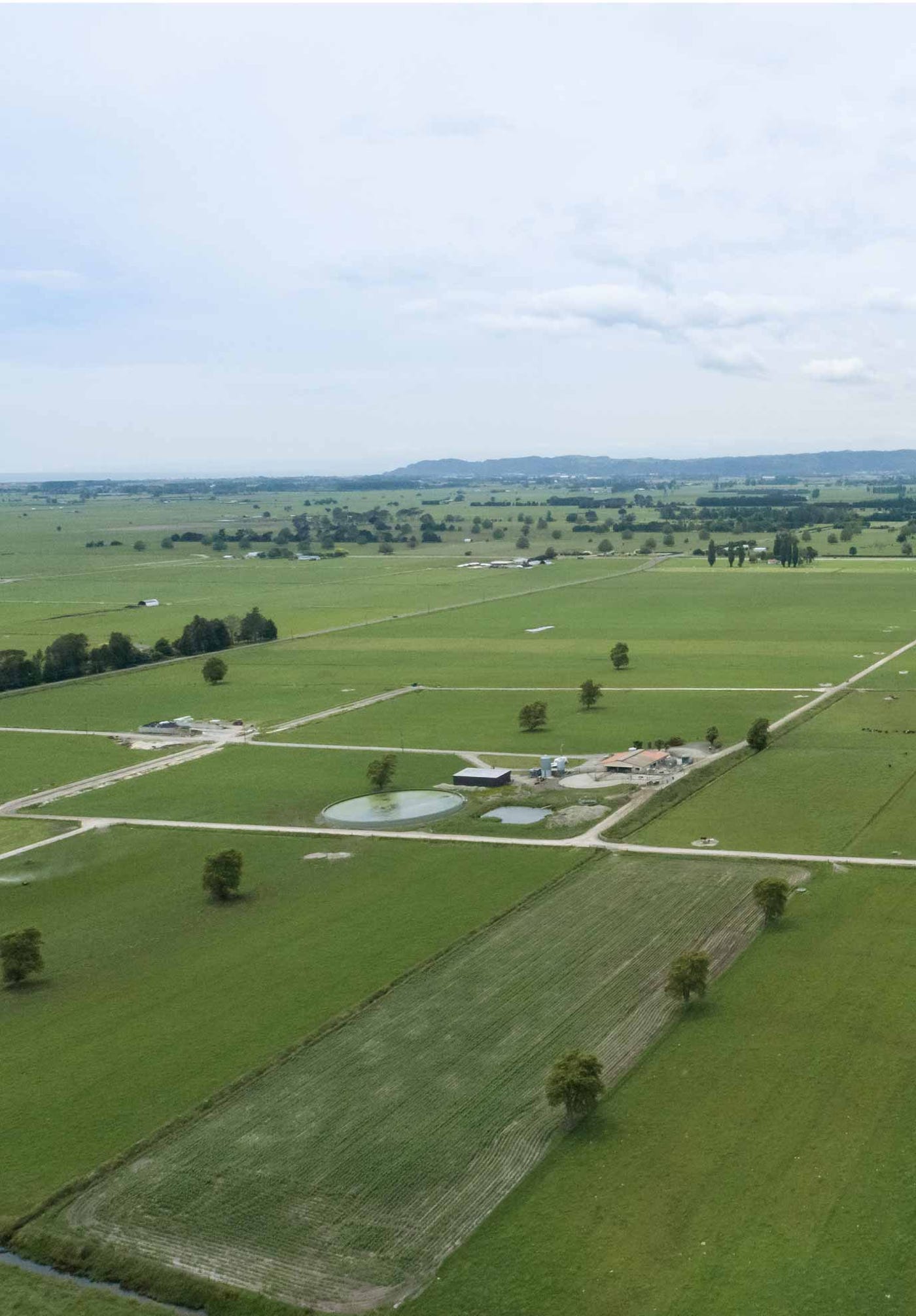 Tihori solar farm site