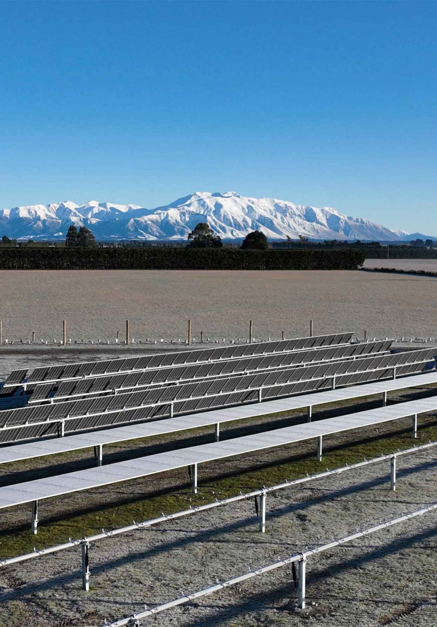 lauriston solar farm - golden row