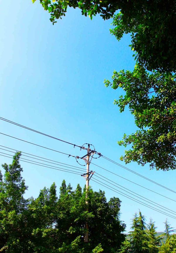 Working close to assets | Genesis NZ