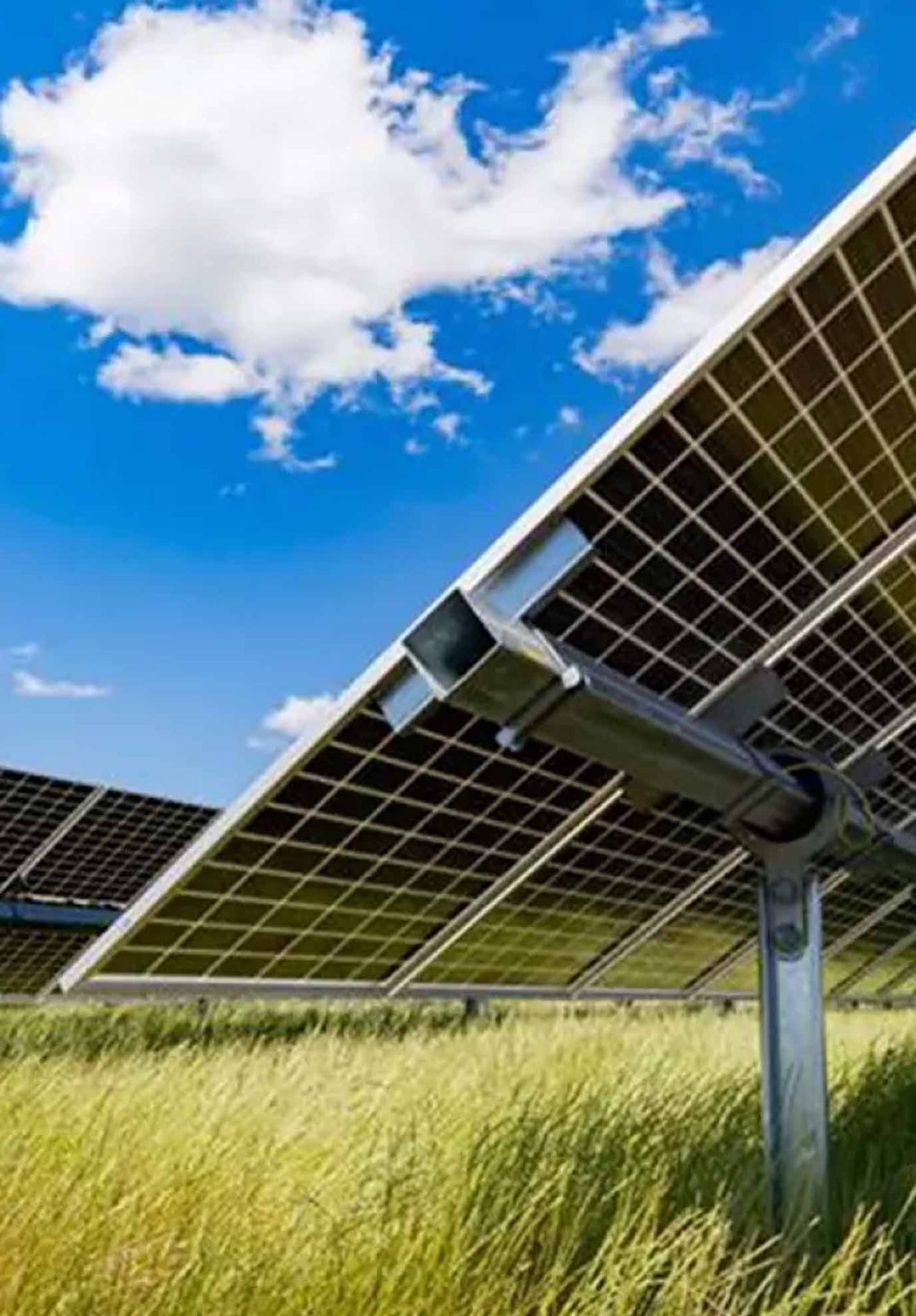 Solar panels in field