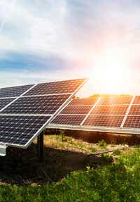 Solar keeps it sunny side up