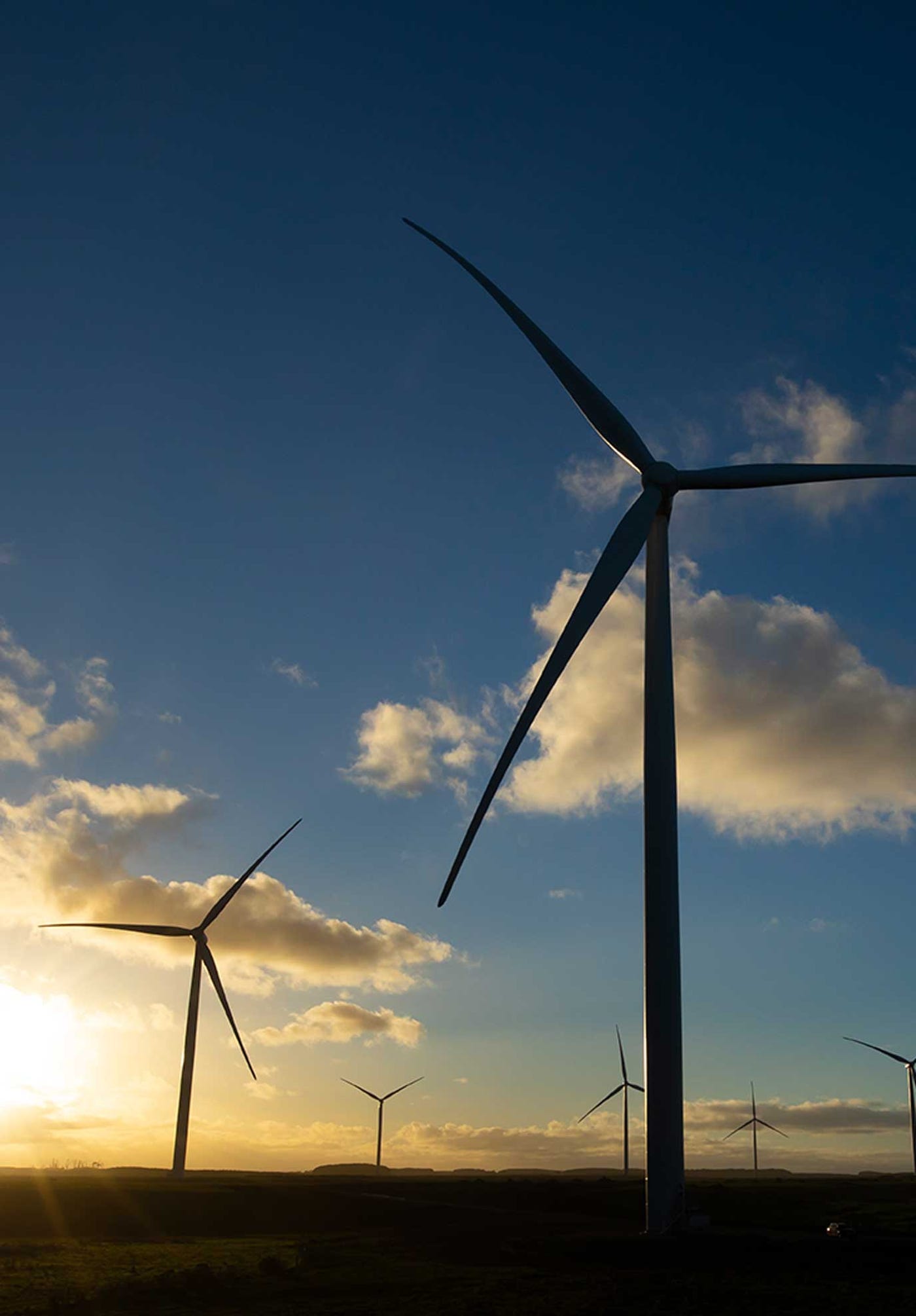 Waipipi wind farm