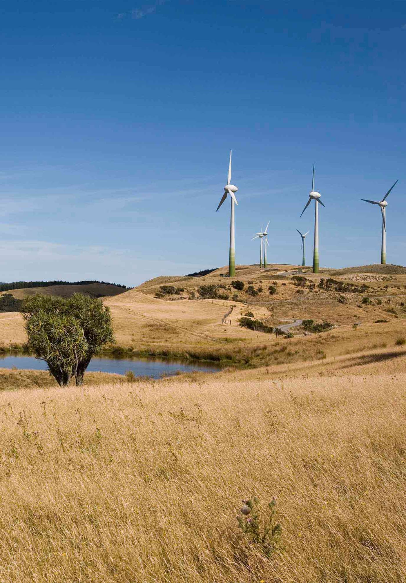 Our generation assets | Genesis NZ