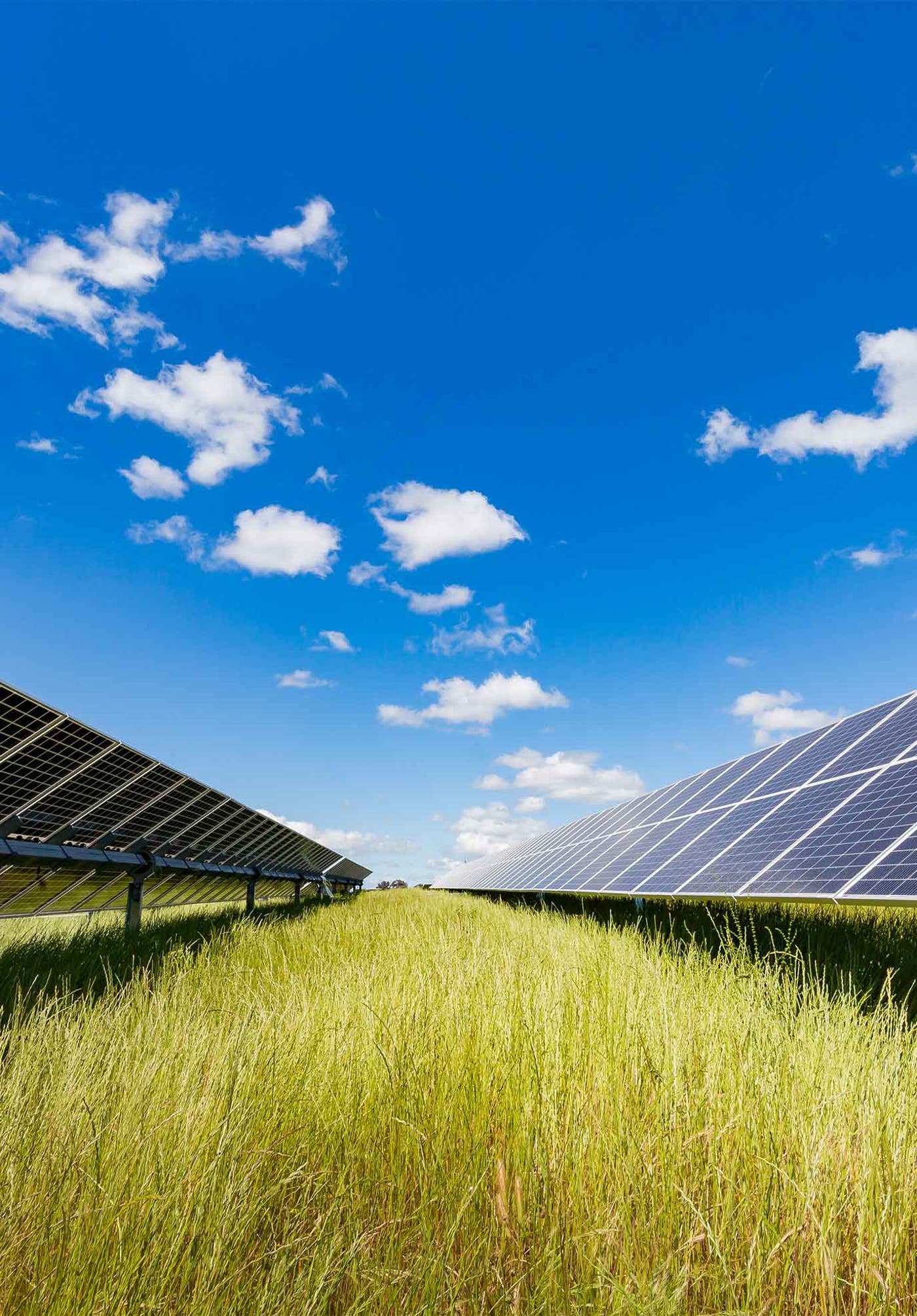 solar farm panels in sunlight