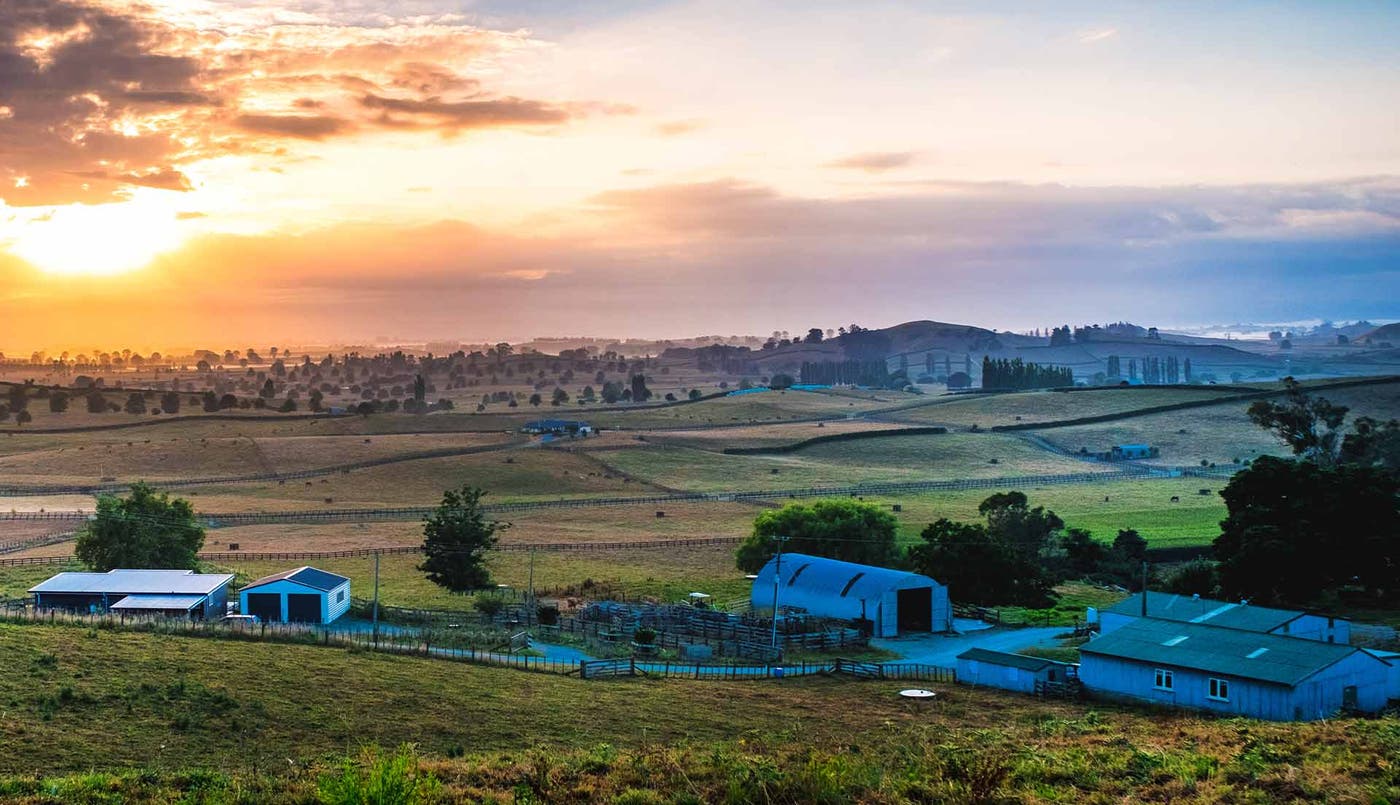 Move Your Farm | Genesis NZ