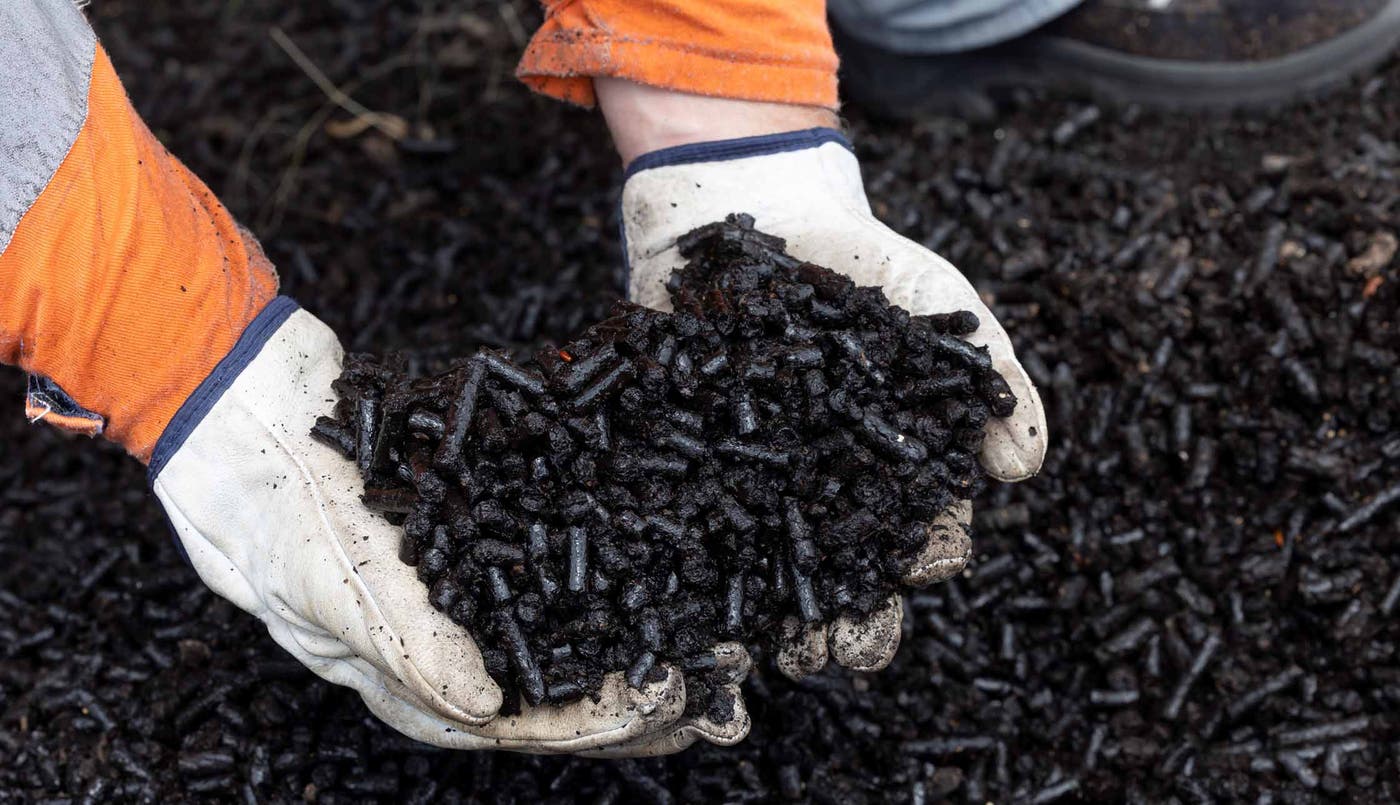 gloved hands holding biomass